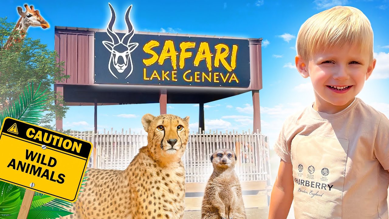 🦓 Lake Geneva Safari Adventure! Kids Feed & Learn About Animals 😍 - YouTube