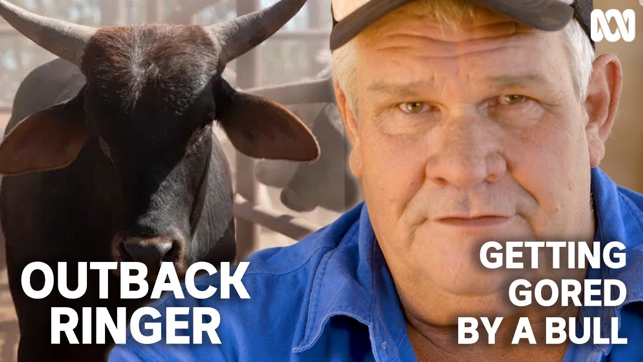 Kurt talks about being gored by a bull in the outback | Outback Ringer ...