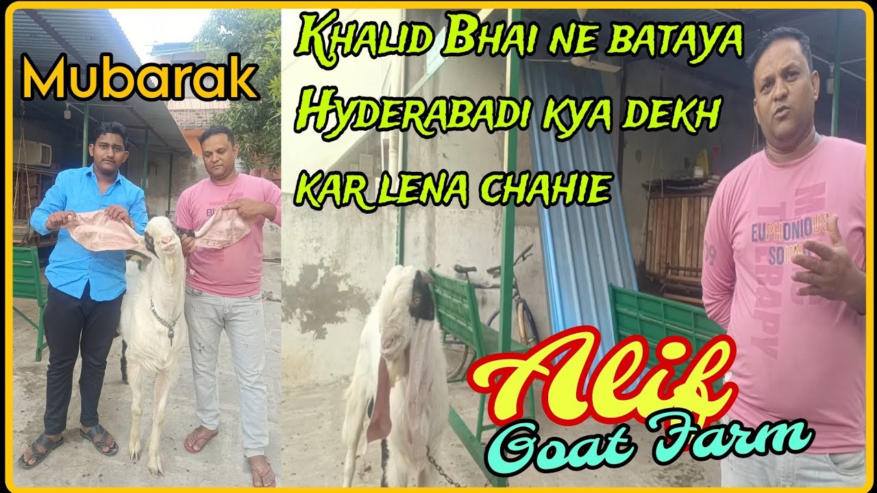 Khalid Bhai Ne Bataya Hyderabadi Bakre Kya Dekh Kar Lena Chahiye ...