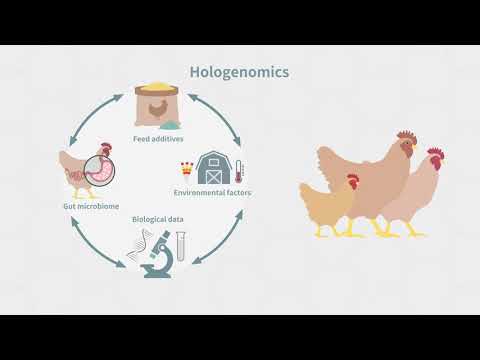 HoloFood: A novel hologenomic approach to sustainable food production ...