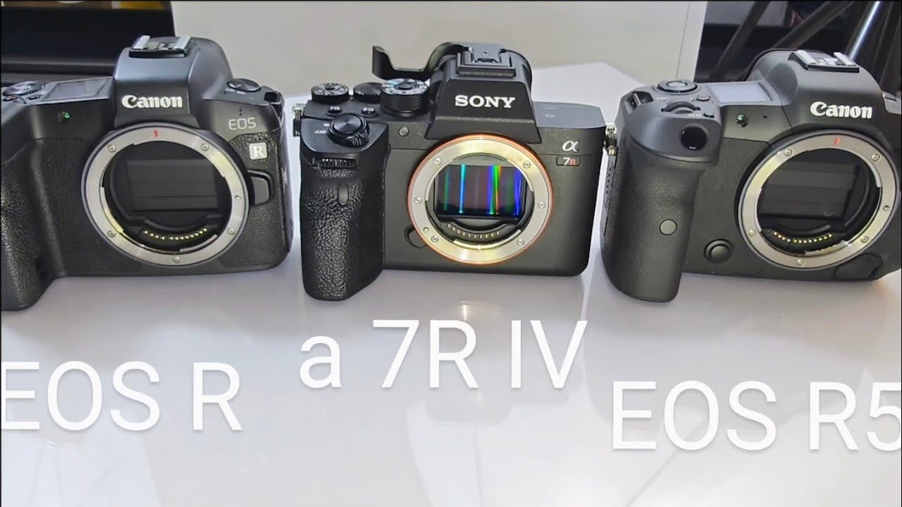 CANON EOS R vs SONY ALPHA 7R IV vs CANON EOS R5 - YouTube