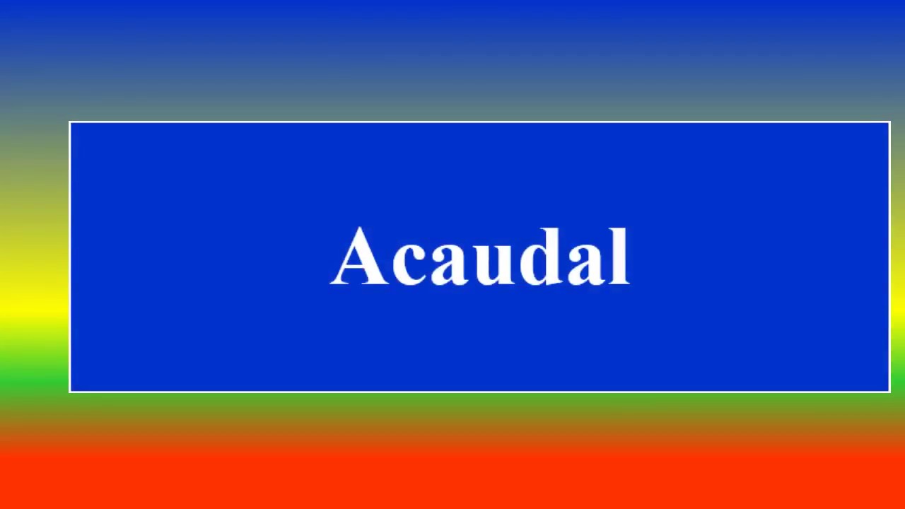 Acaudal - YouTube