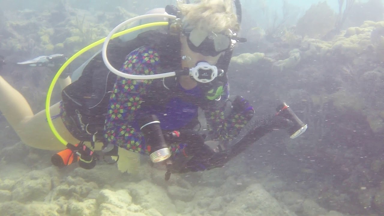 diving - YouTube