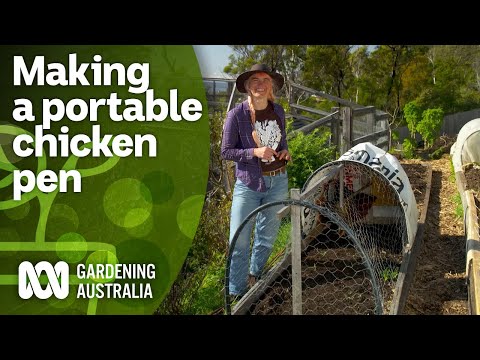 How to make a portable chicken tractor to improve your garden | DIY Projects | Gardening Australia