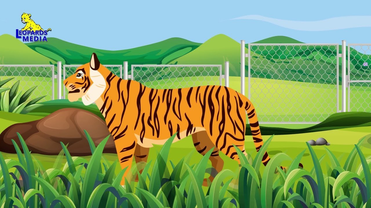 I am a tiger | English Nursery Rhymes | English Kids Songs - YouTube