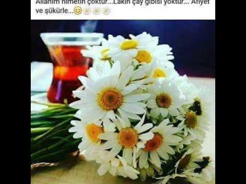 Songül uçar sabır