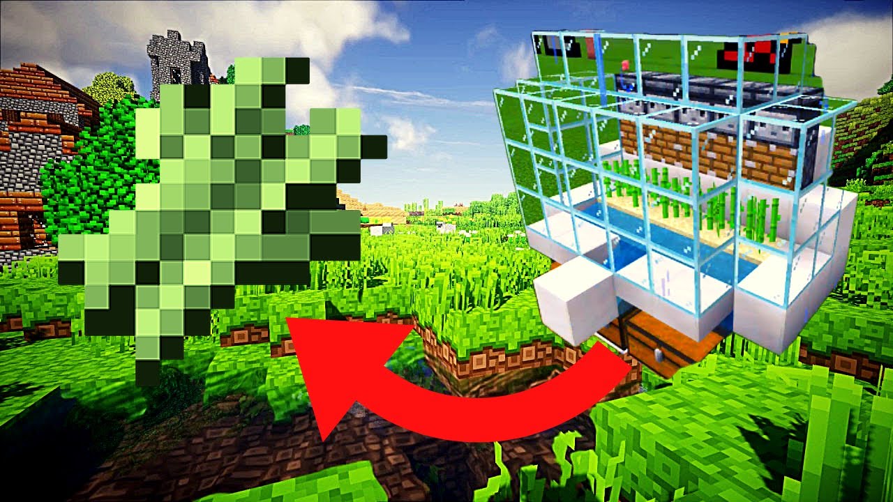Farm di Canne da Zucchero - Minecraft Tutorial - YouTube