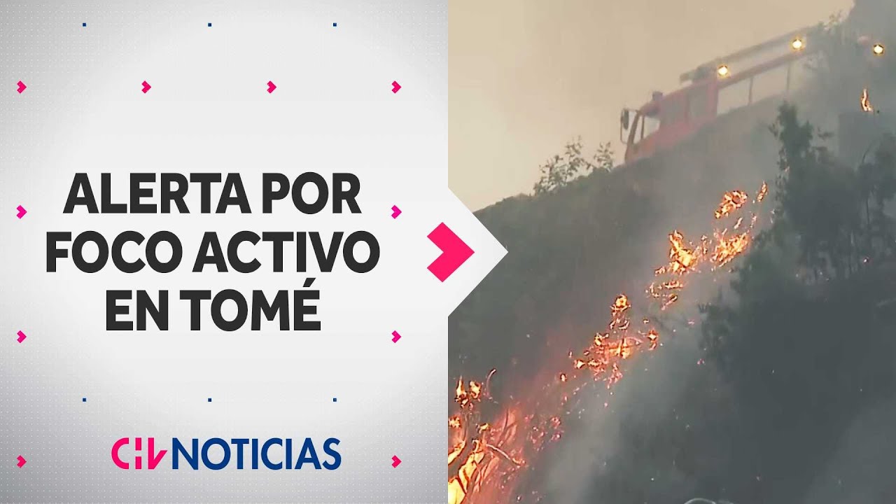 Alerta en Tomé por foco activo de incendio en el ingreso de la comuna ...