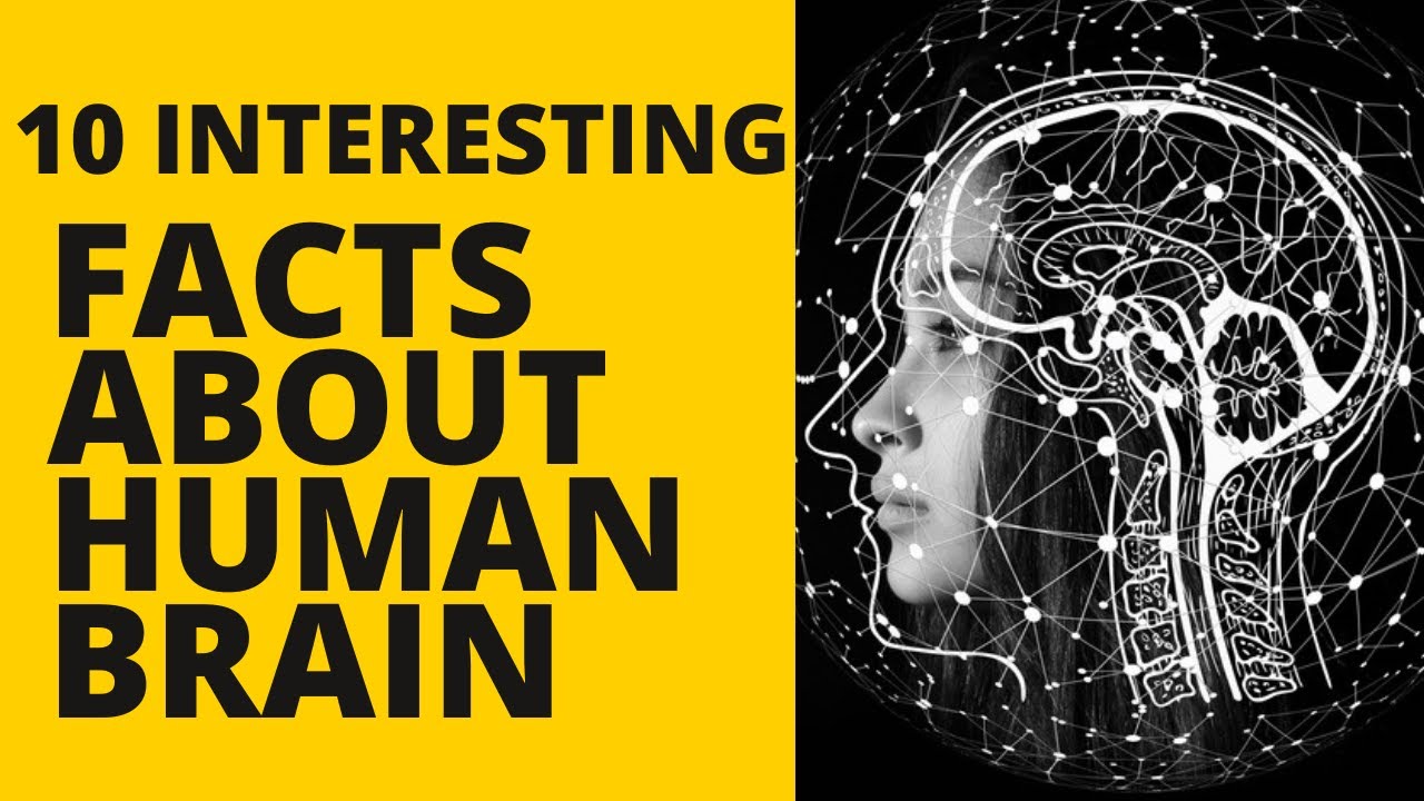 10 interesting facts about human brain | Facts about brain | # ...