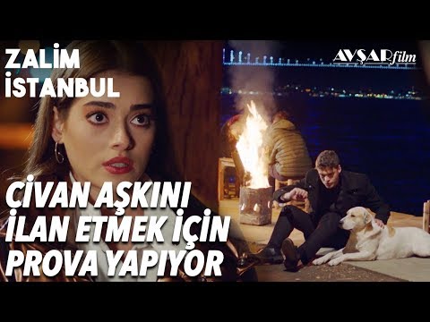 İlanı Aşka Yürüyorum💘 Damla Civan'a Gidiyor💑 | Zalim İstanbul 23. Bölüm