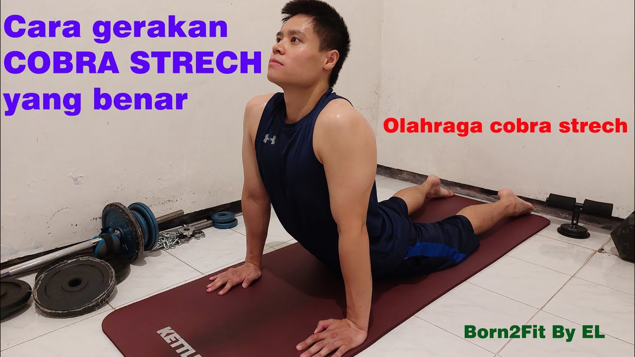 Cara Gerakan Cobra Strech / Cobra Pose yang Benar - YouTube