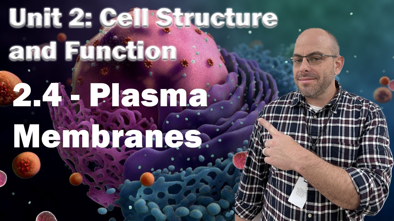 AP Biology Unit 2 - 2.4 - Plasma Membranes - YouTube
