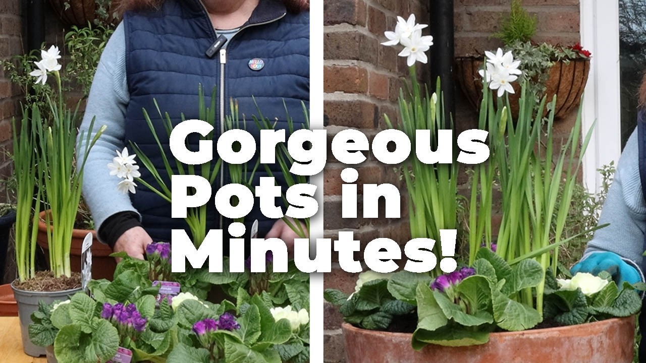 Beautiful early spring containers made EASY! - YouTube