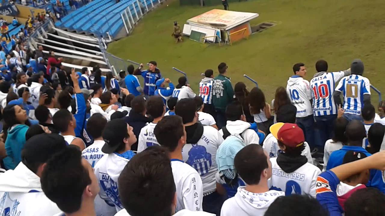 Mancha Azul do Avaí na arquibancada! Torcida organizada. - YouTube
