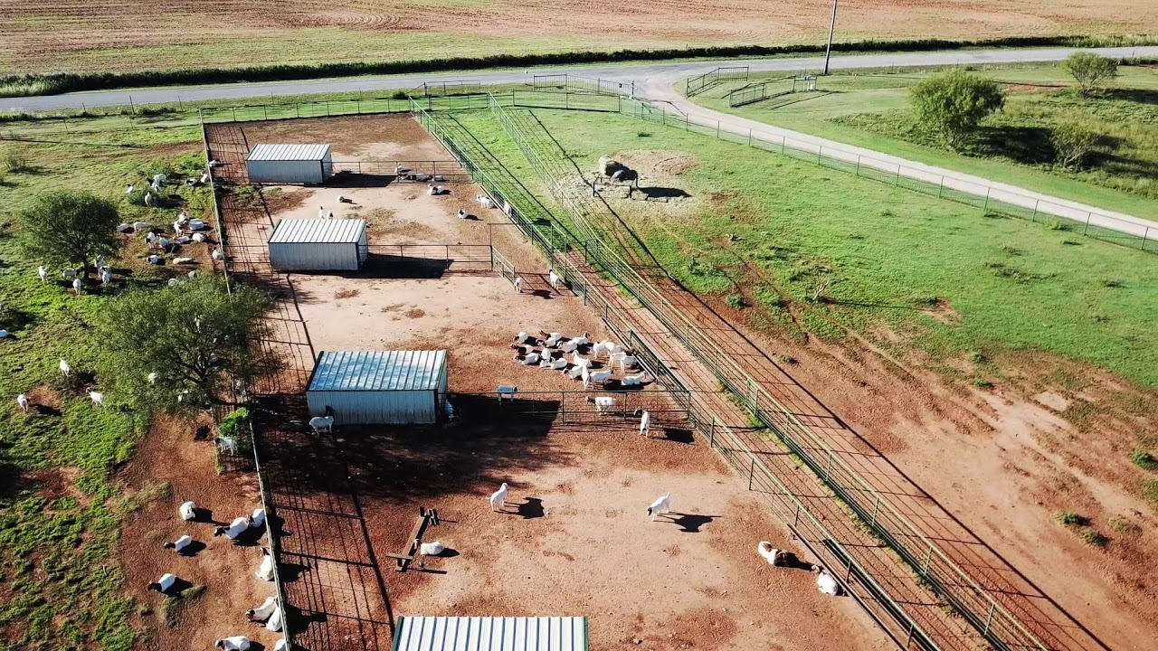 Blue Team Wethers Ranch - YouTube