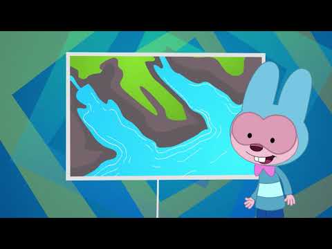 Kare Takımı 🎵 Şarkıları - Uçan Balıklar