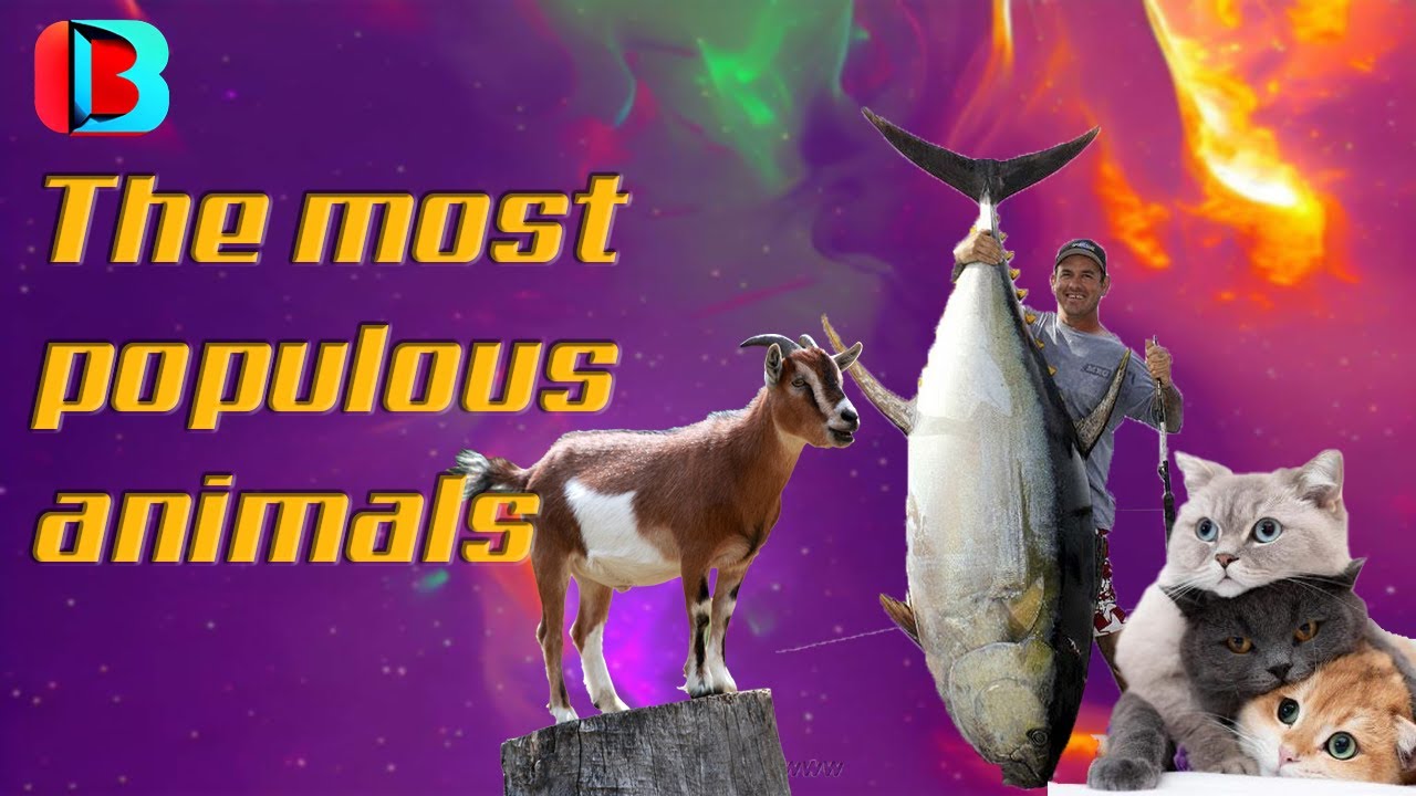 Comparison: Animal POPULATIONS | The Most Abundant Animals in The World ...