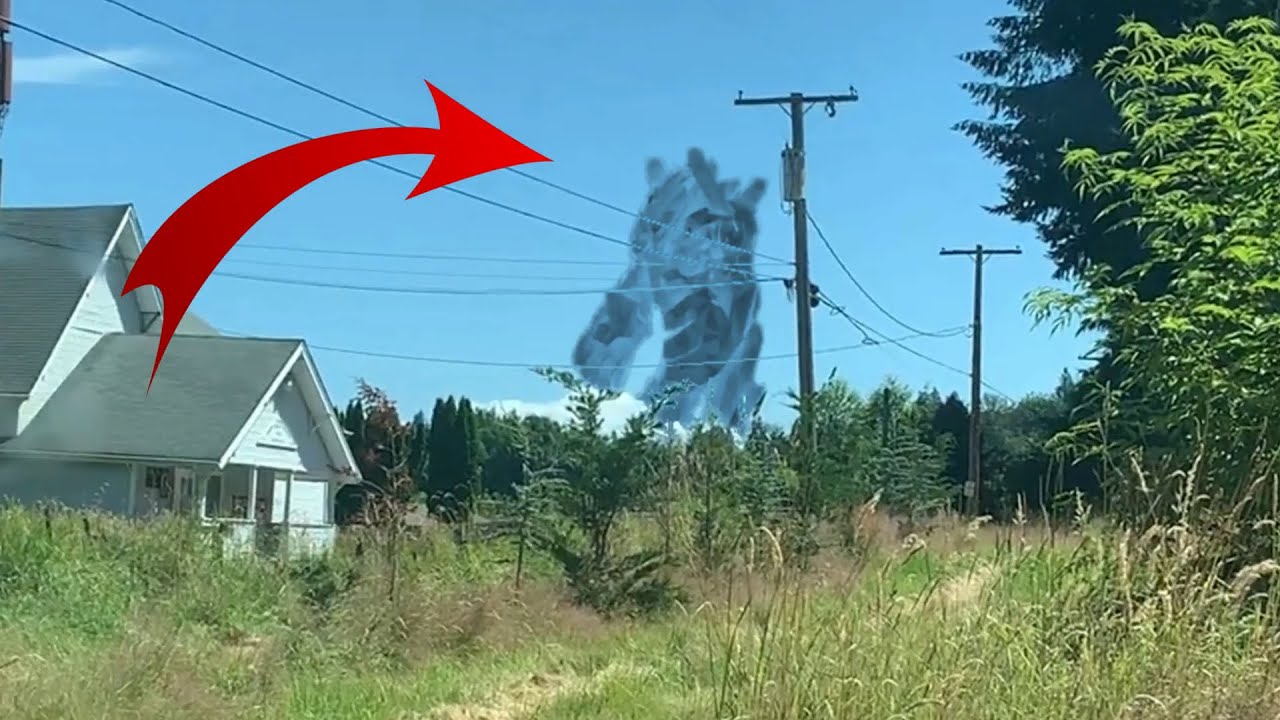 Acephali Ακεφαλη ἀκέφαλοι ακεφαλου Mythical creature sighting in Cyprus ...