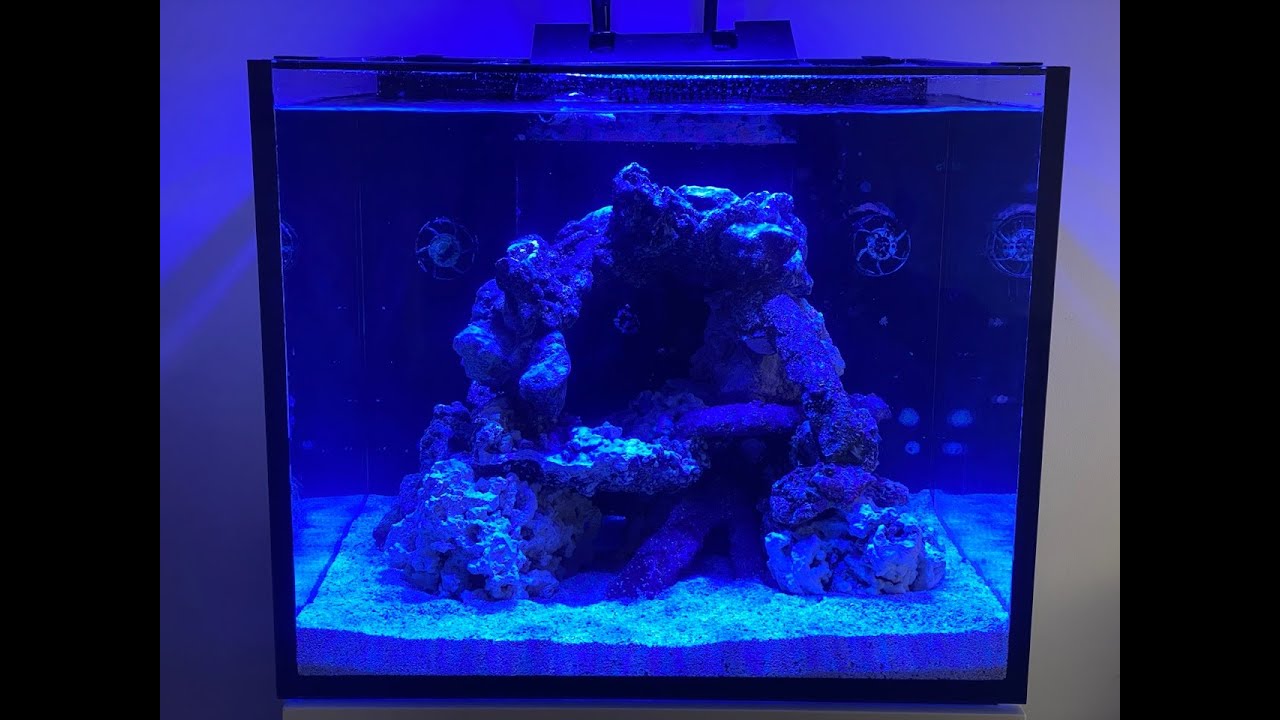 Red Sea Reefer 170 Aquarium Setup Reef Tank - YouTube