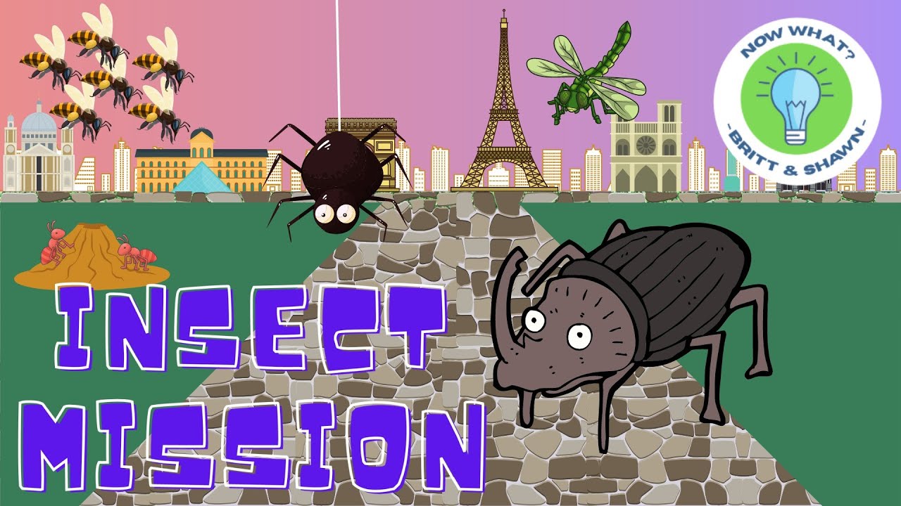 Insect Mission - PE Games and Chase Games | Virtual Physical Education ...