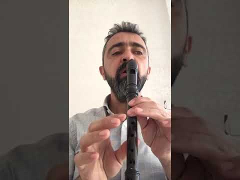 Samsun'dan doğan güneş flütle çalınışı (solfejli)