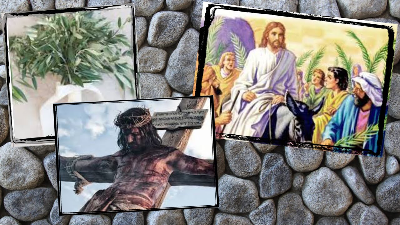 Scusa Signore, ma... Me lo spieghi ? Non riesco a capirlo. - YouTube