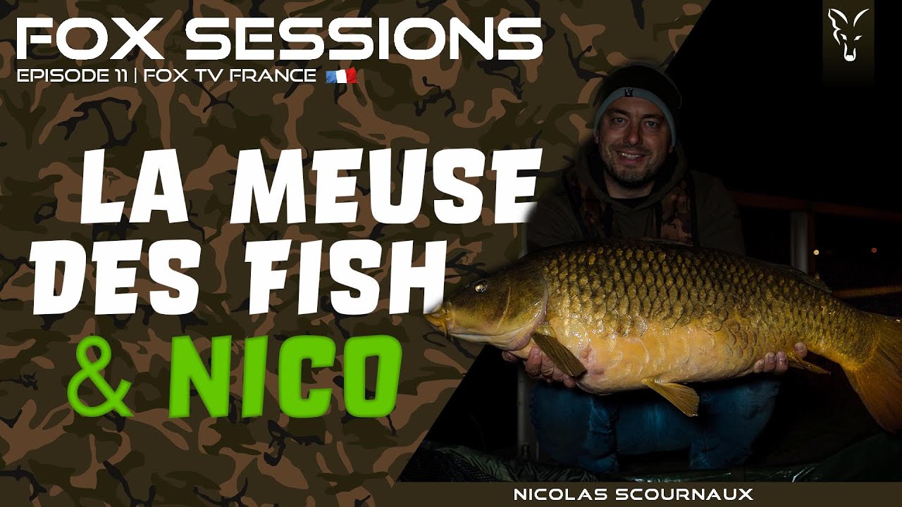 FAIRE DES POISSONS DE FLEUVE EN QUELQUES HEURES ? IMPOSSIBLE 😱⚠️ | FOX ...