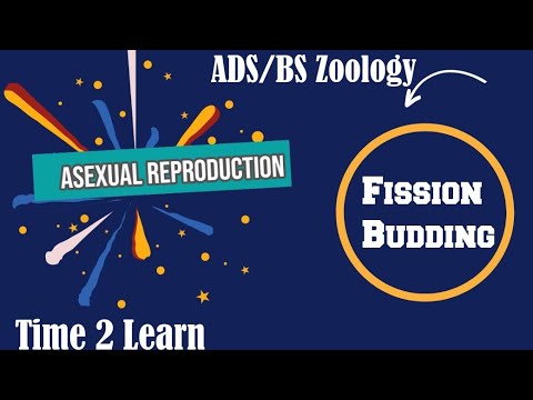 Types of Asexual reproduction/ Fission/ Budding/ Time 2 Learn - YouTube