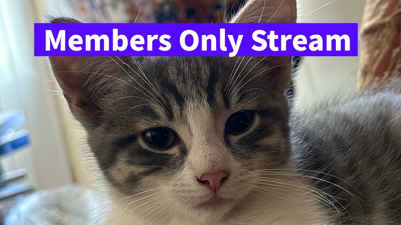 🔴 LIVESTREAM: Members Only Stream (April 28th 2023) - YouTube