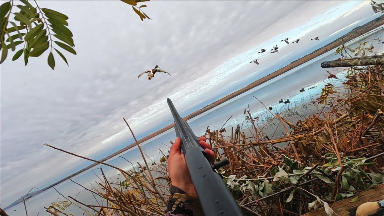 Duck Hunting LIMITS at Umatilla Wildlife Refuge | Oregon Waterfowl ...