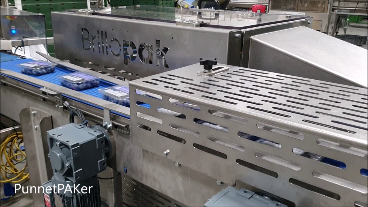 Automated punnet packer placing punnets at high speed into crates or ...