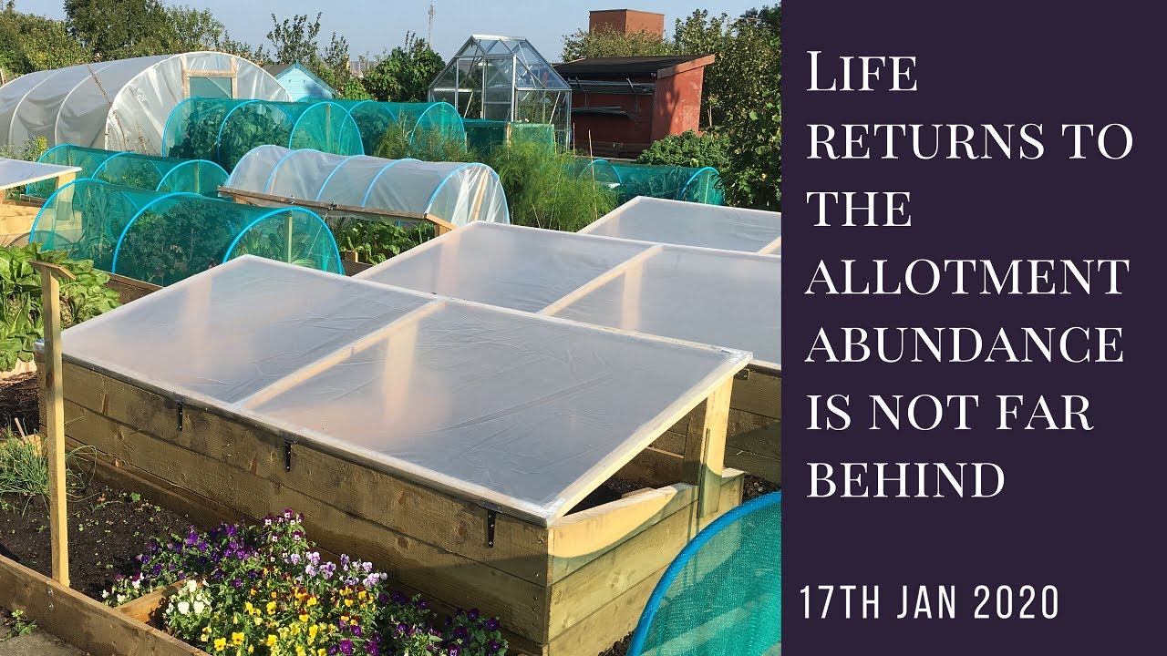 Life returns to the allotment, spring abundance isn't far behind! - YouTube