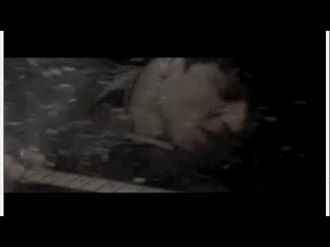 The Chapman Family - 'Kids' - YouTube
