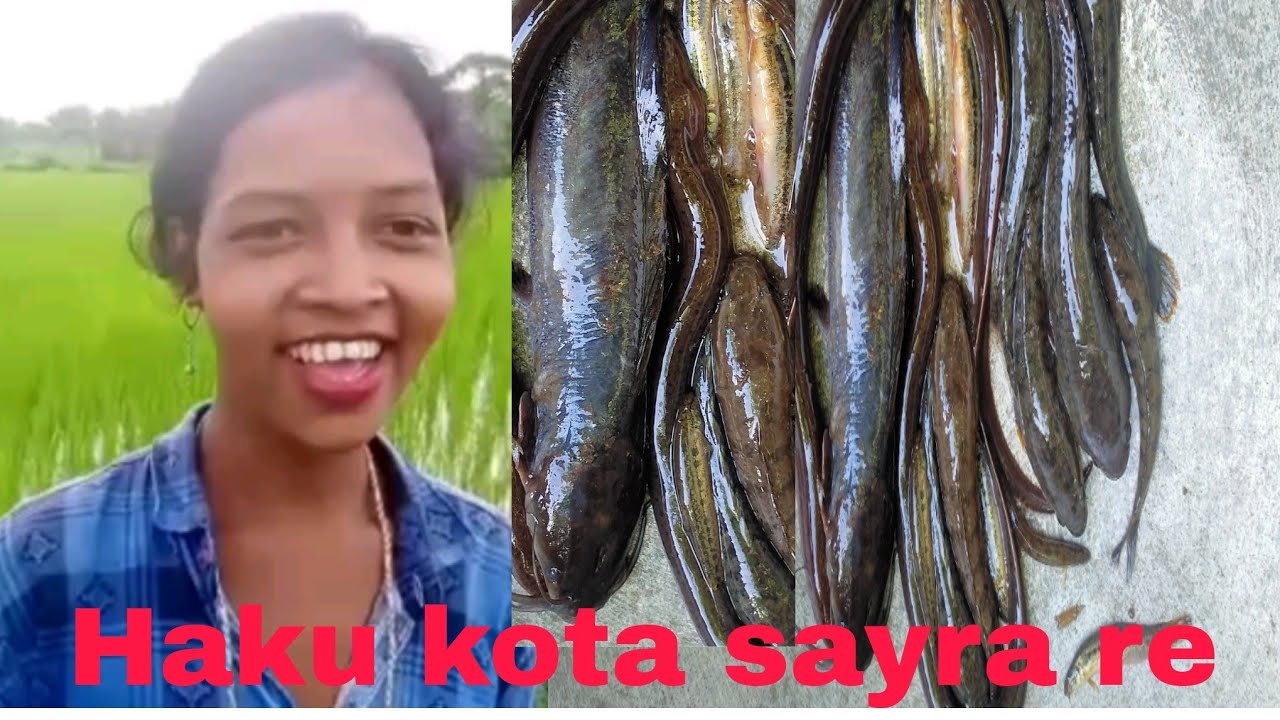 SANTALI SUPER VLOG VIDEO 🐟🐠 Sayra ren haku kota dela 🦈🦈 Phulmoni Murmu ...