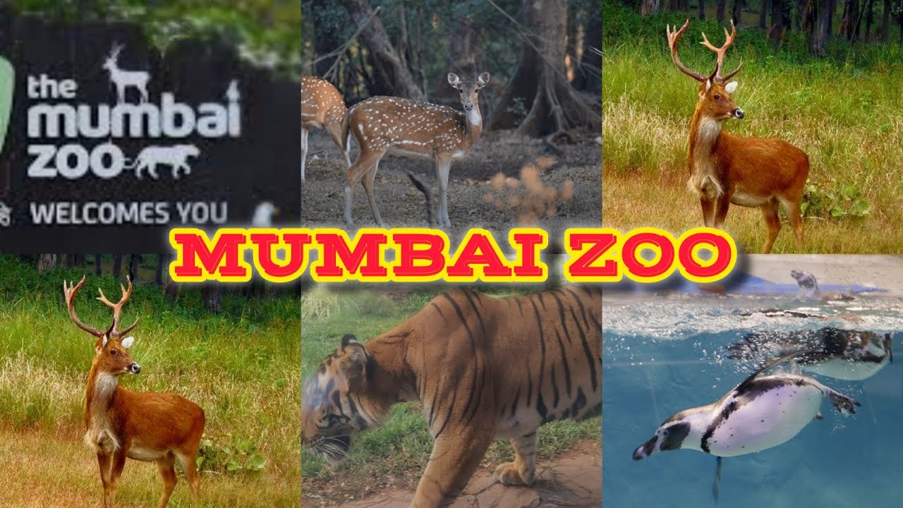 Mumbai ZOO |Rani Bagh | Full Tour Mumbai ZOO | Byculla ZOO | Shah Fazal ...