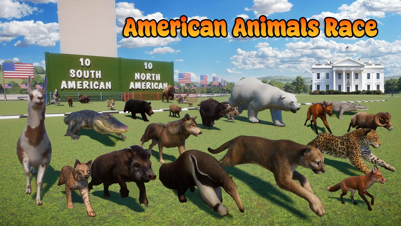 10 South American VS 10 North American Animals Head to Head Animal Race ...