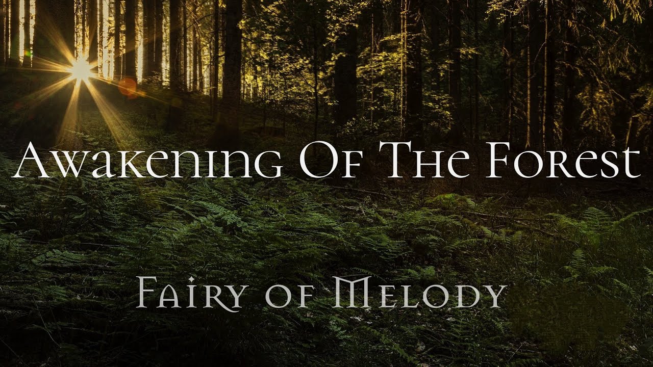 Fairy of Melody - Awakening Of The Forest (original composition) @fairy ...