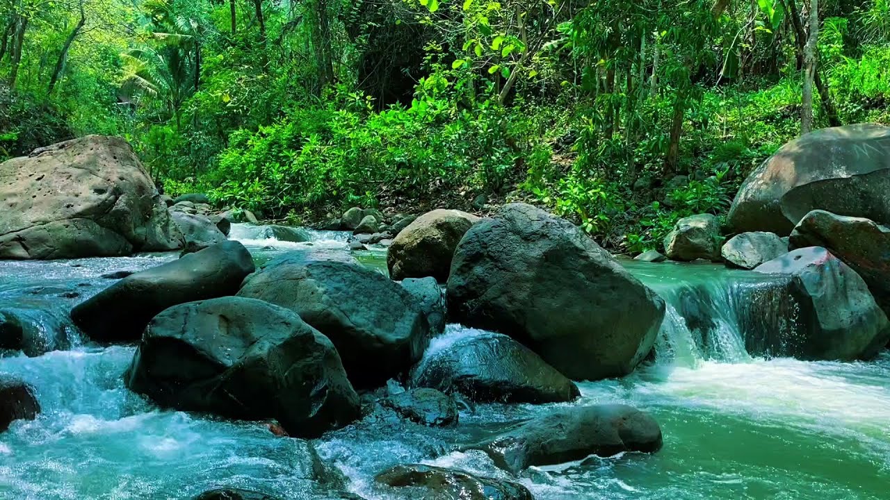 Mountain stream, river sound, nature sounds, water sounds, white noise ...
