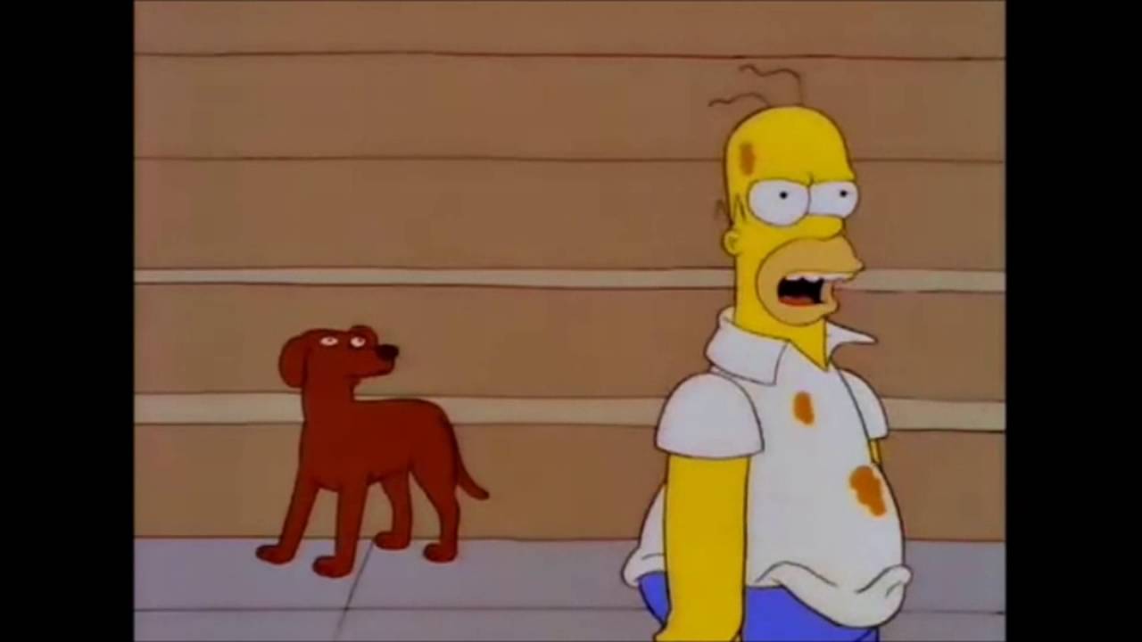 Momentos graciosos de Homero Simpson - YouTube