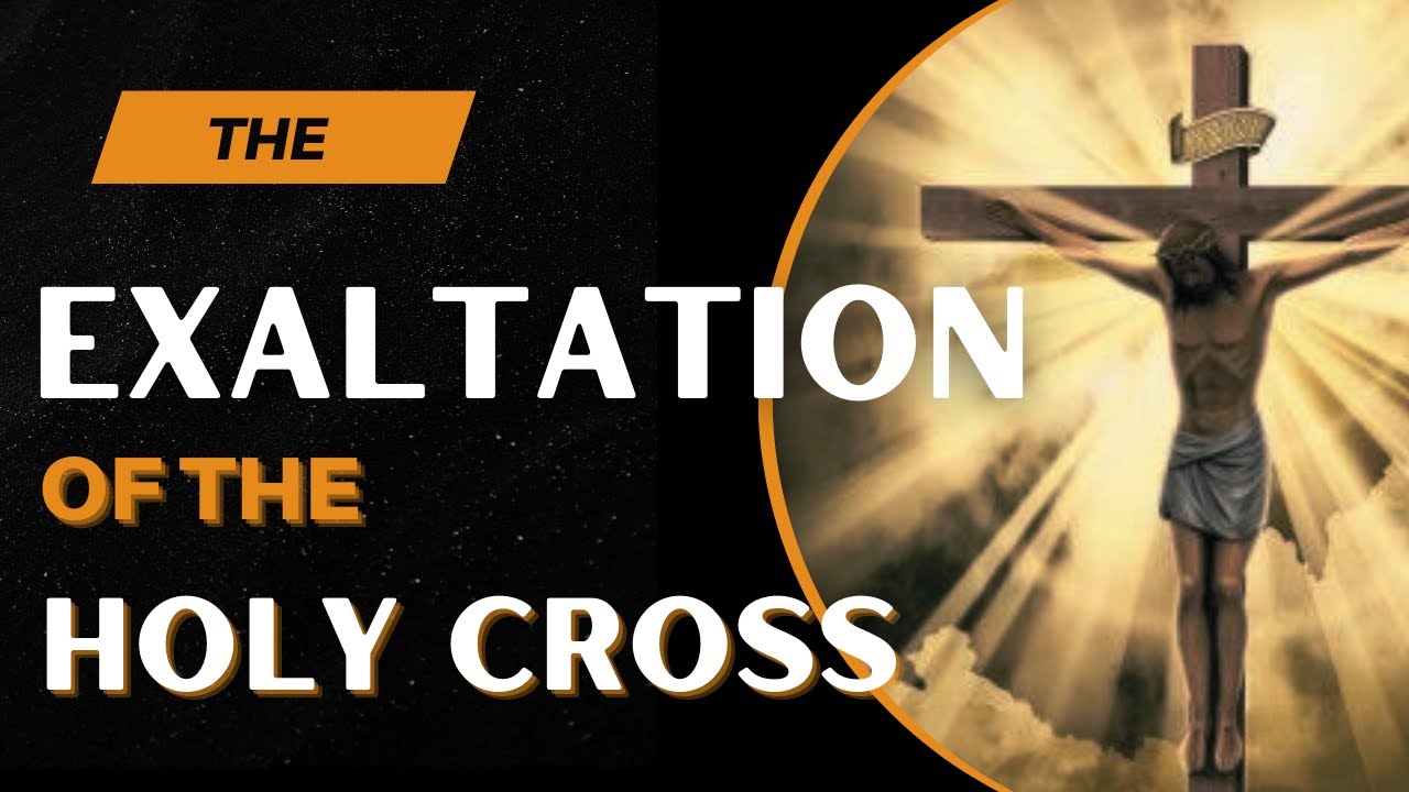 The Top Theologian Reveals the BEST Way to Understand the Holy Cross ...