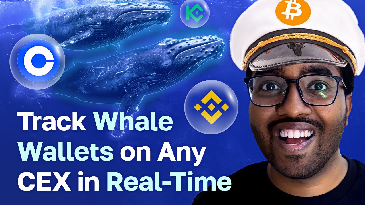 How to Track Whale Wallets on Any CEX in Real-Time (Binance, Coinbase ...