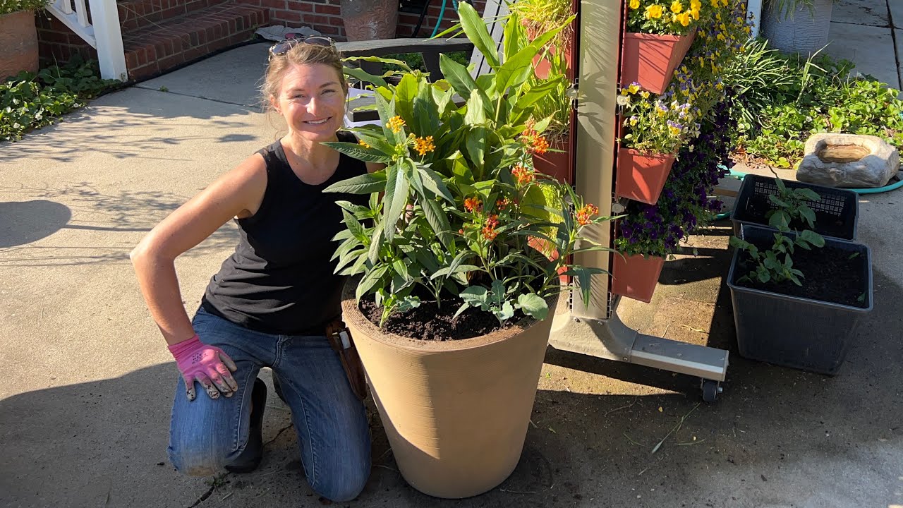 Spring Pollinator Container Garden Combo - YouTube
