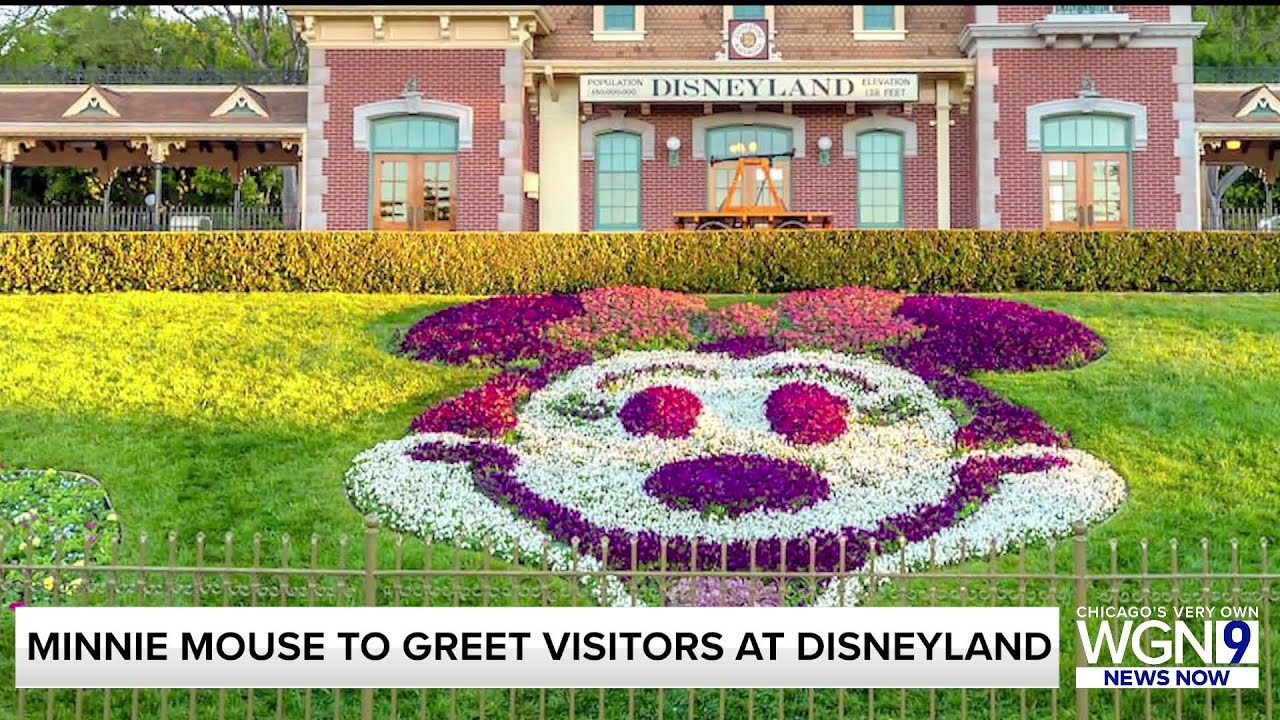 Minnie Mouse will greet visitors to Disneyland in March - YouTube