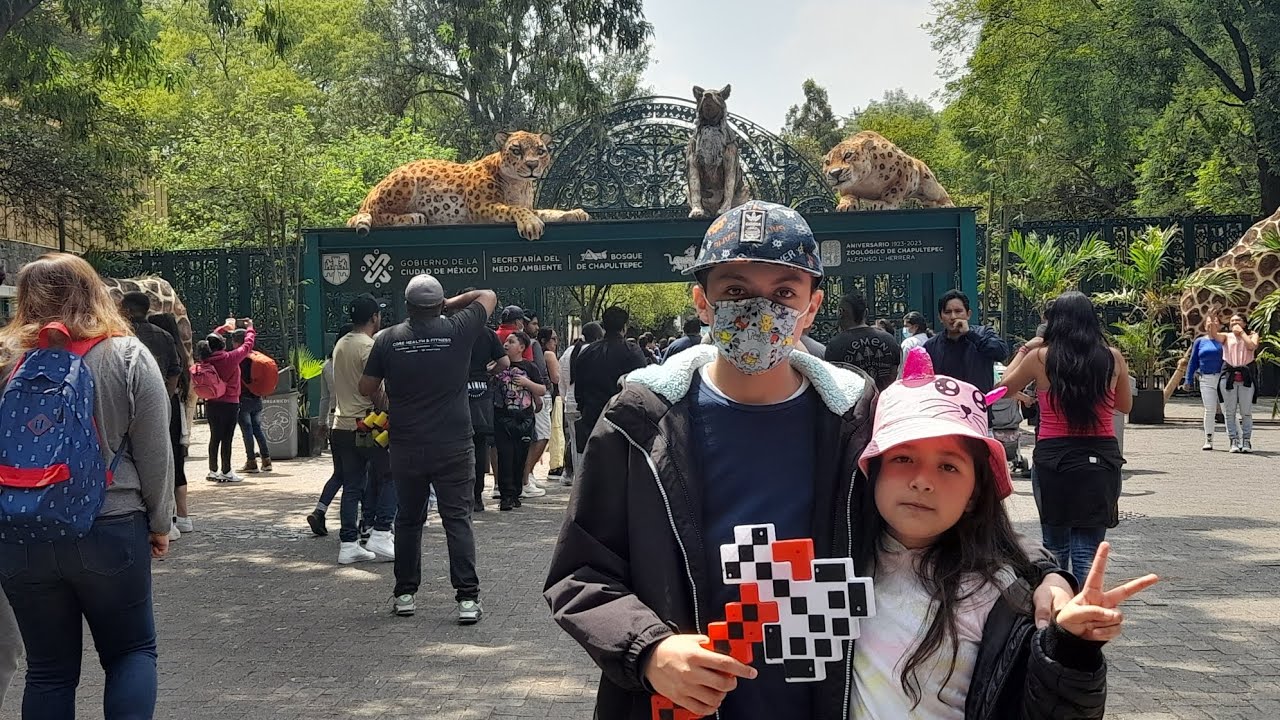Visitando el zoológico de la CDMX| HolaIsa♡| #zoo #cdmx 🦍🐒🐯🦧🐼🐿🦚 - YouTube