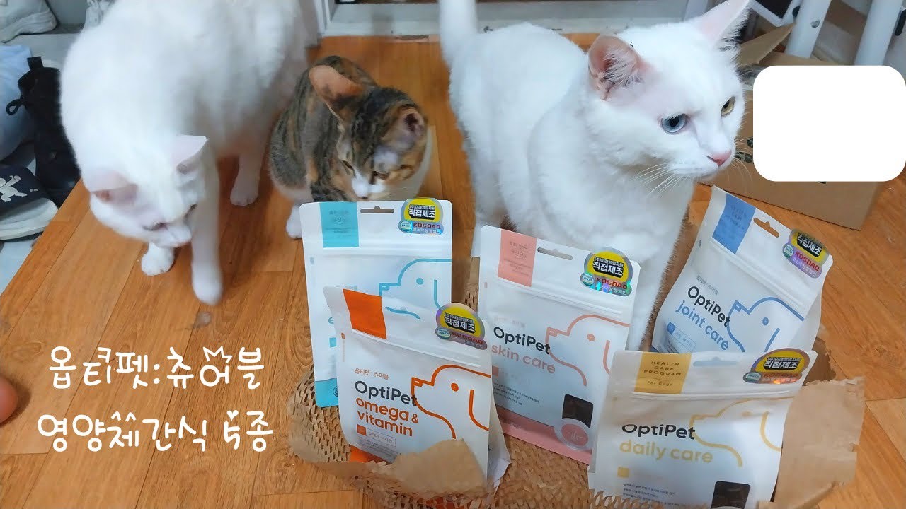 고양이&강아지 영양제 간식 | 옵티펫 츄어블 간식 | 눈, 관절, 피부, 장, 면역력 | cat&dog tonic ...