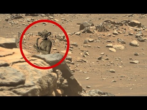 Perseverance Rover Captured New 4k Mars Planet Real Video | Mars 4k ...