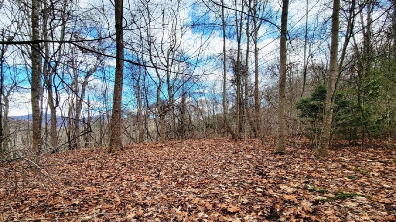 275 Sheila Drive, Waynesville, NC Presented by Jaci Reynolds. - YouTube