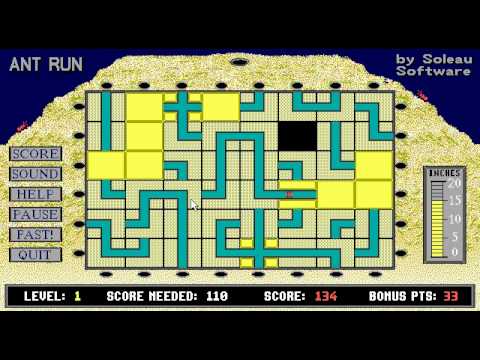 DOS - Ant Run
