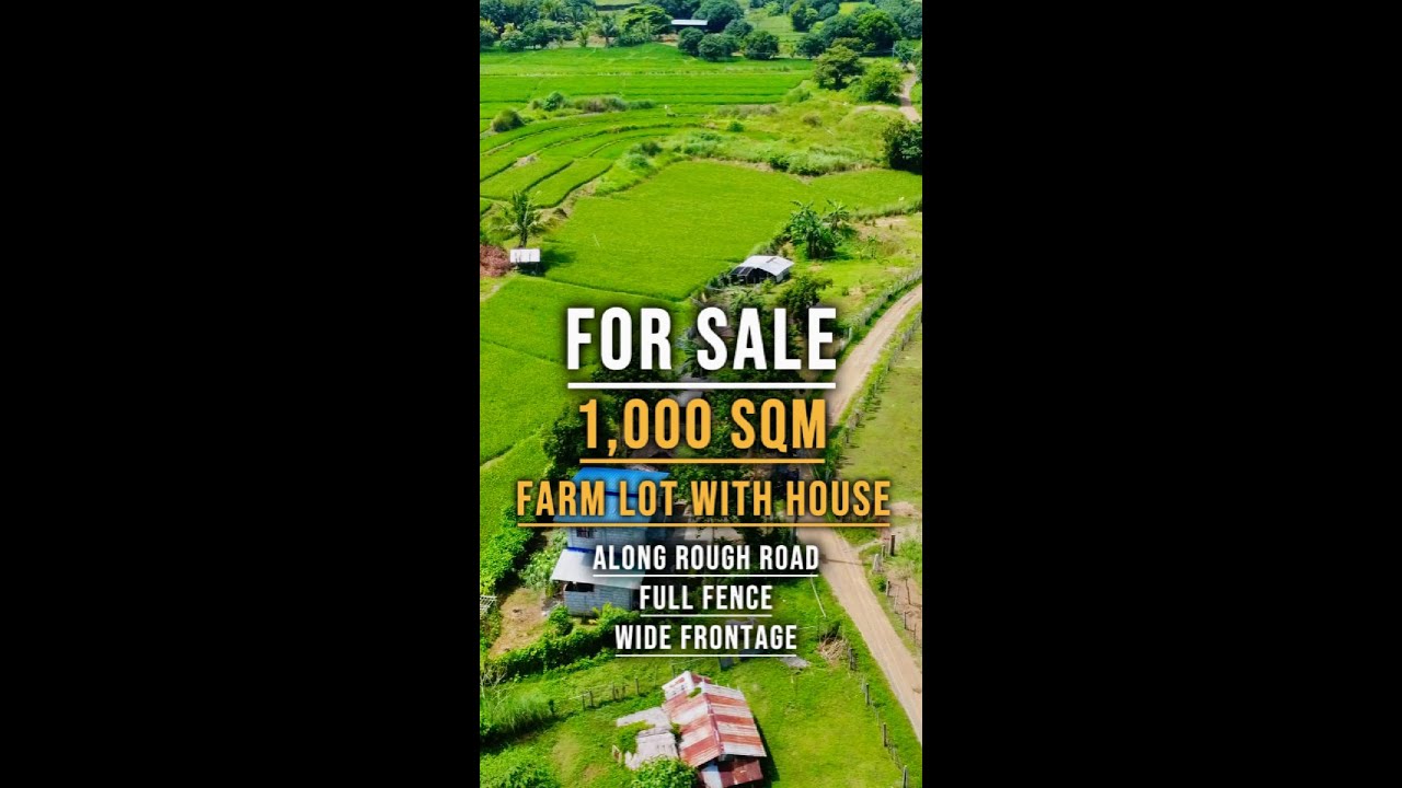 (V441) 1,000 SQM FARM LOT WITH HOUSE, ALONG ROUGH ROAD, WIDE FRONTAGE ...