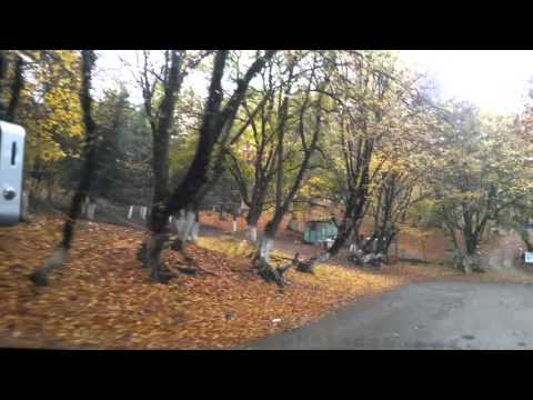 Sevinc Musayeva Dozmur Urek